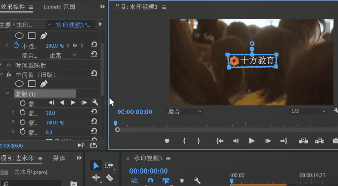 pr 去水印截图