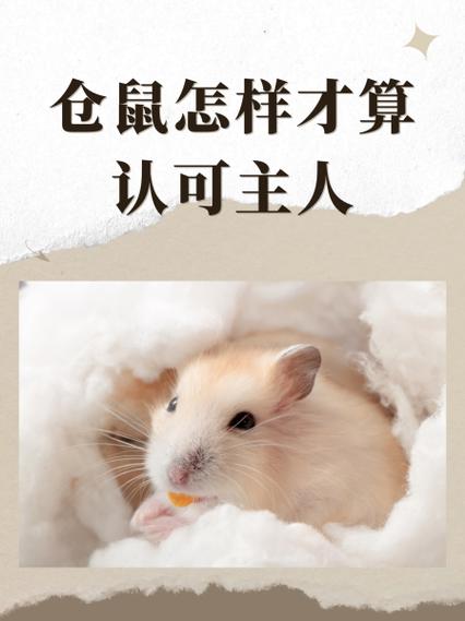 养一只仓鼠多久能认识主人截图