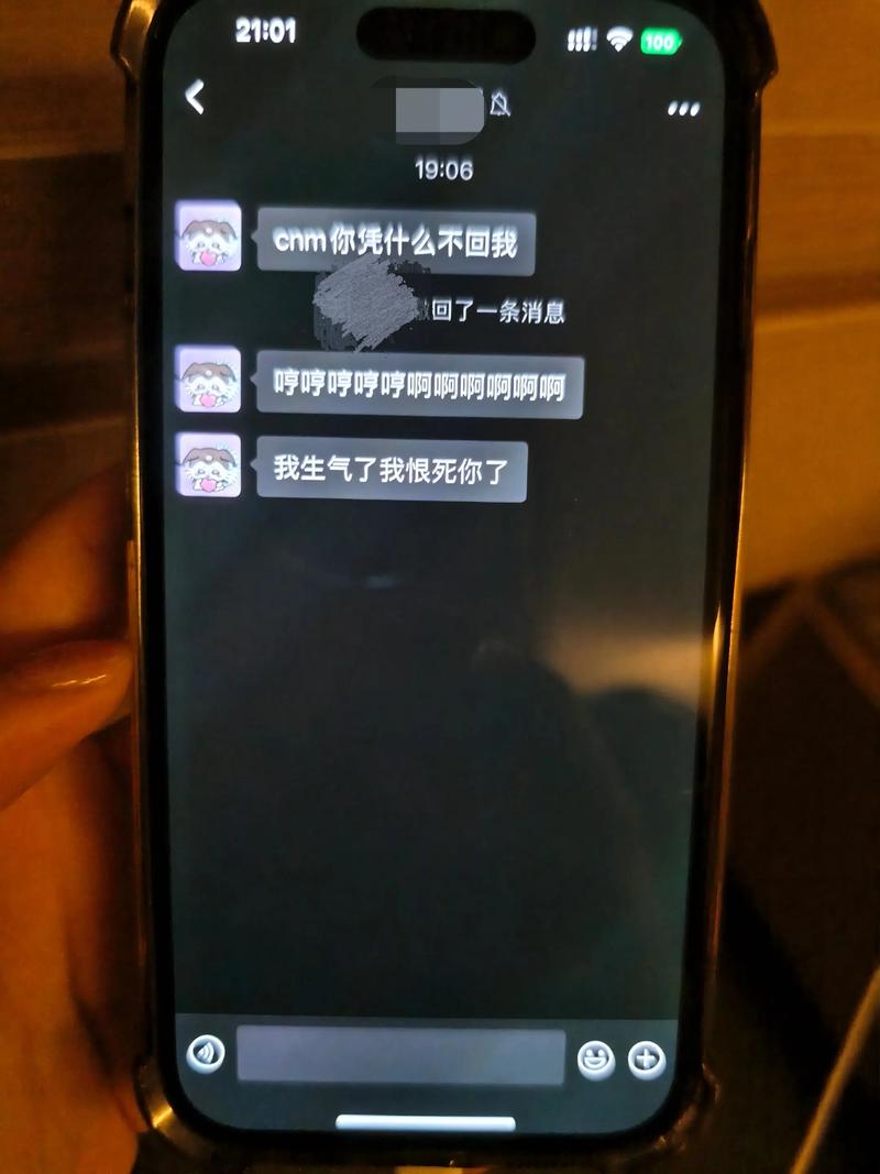 用自己的手机能看到别人的聊天记录截图
