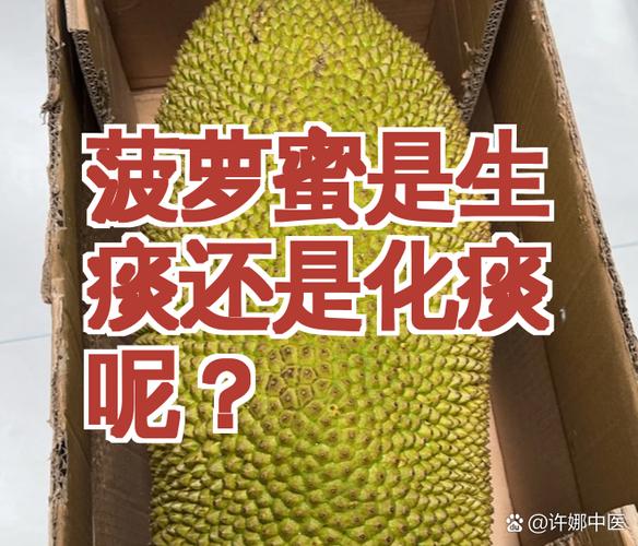 菠萝蜜生痰还是化痰图标
