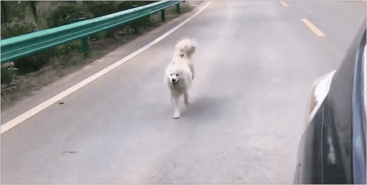 剪映怎么让图片跟着人物移动图标