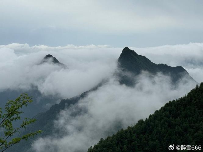 中国10大山排名图标