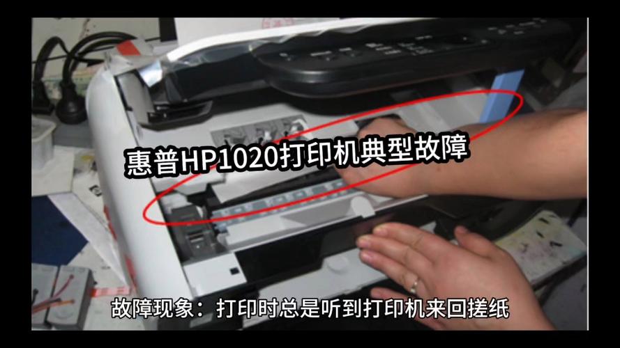 惠普打印机打印不出纸