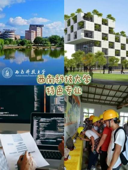 西南科技大学教务管理系统学生端截图