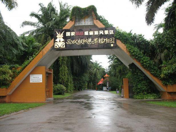 西双版纳必去景点图标