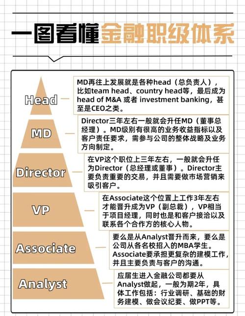 vp职级图标