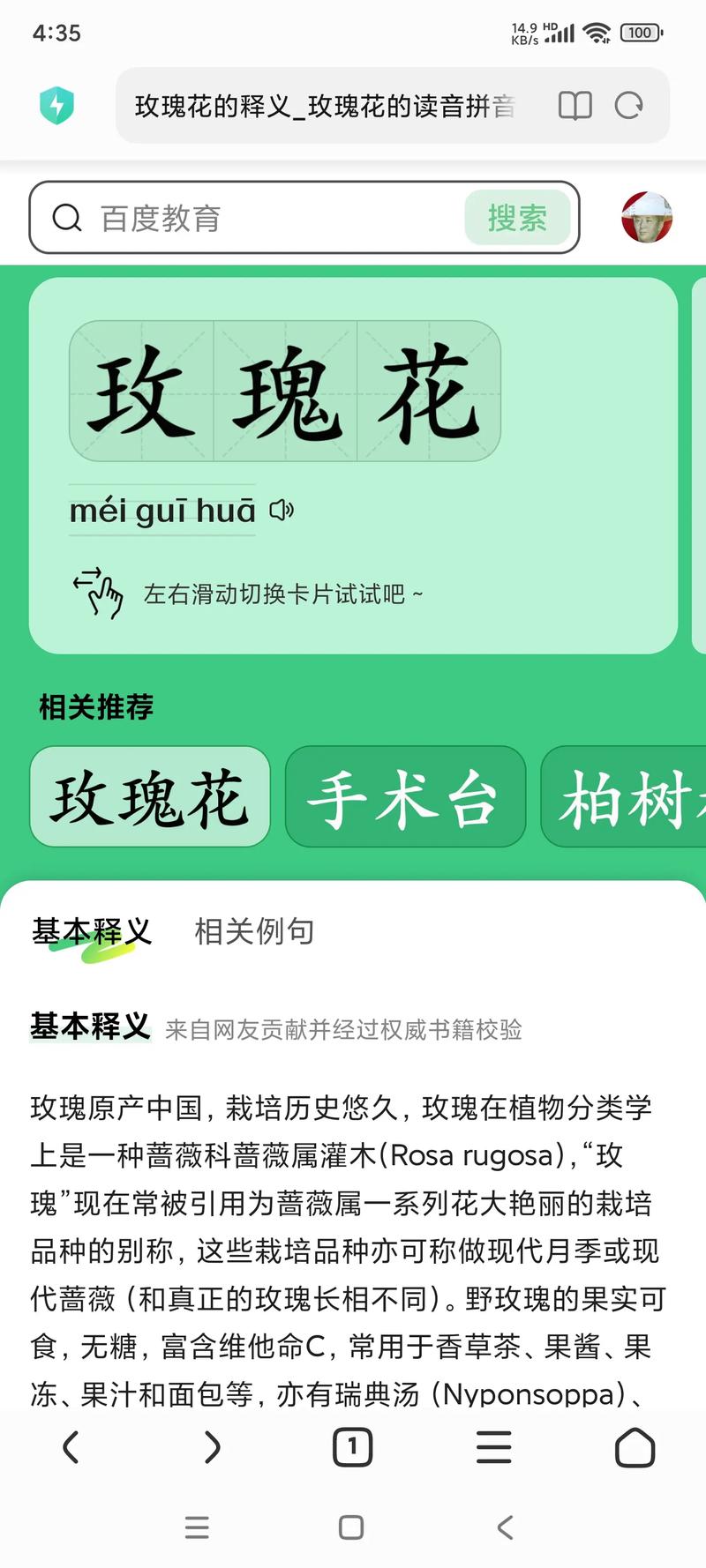 百度亅下拉词优化鬼冢玫瑰