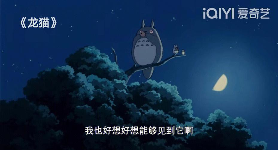 龙猫视频破解版截图