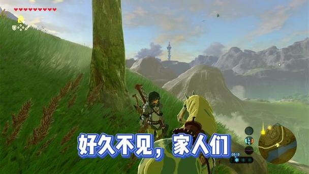 旷野之息背包扩充地点