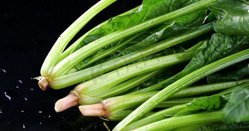 菠菜广告投放平台图标