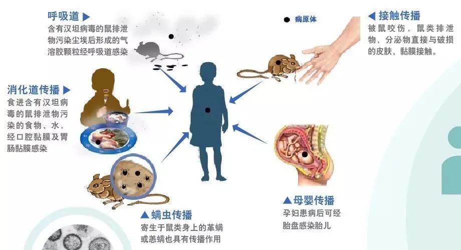 模拟传染病的传播图标
