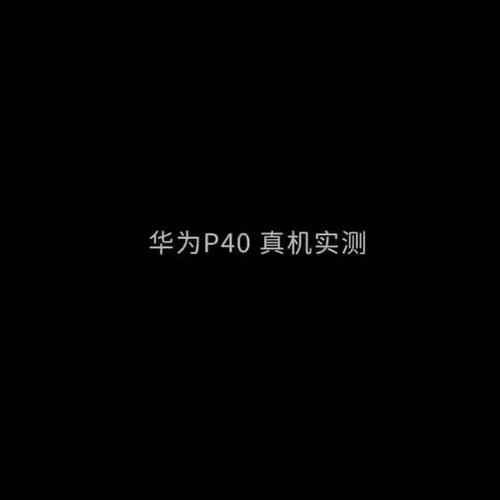 华为p40pro后盖价格图标