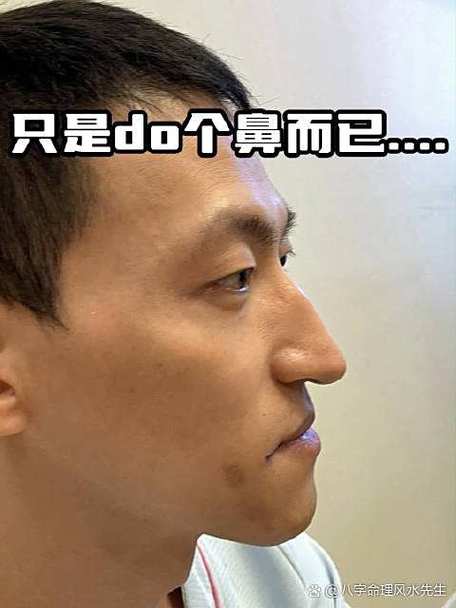 鼻子尖的人截图