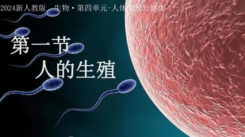人类是怎么繁殖的过程教程图标