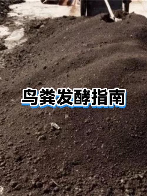 鸟粪发酵过程视频截图