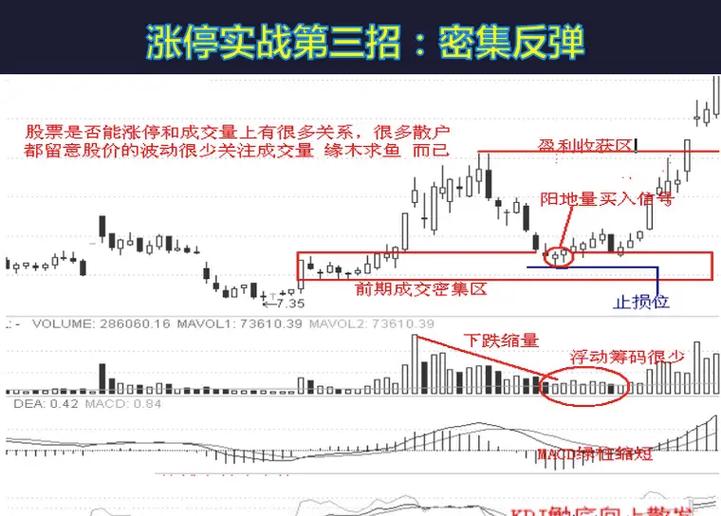 尾盘选股器下载图标