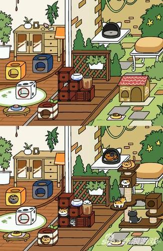 猫咪后院官方版截图