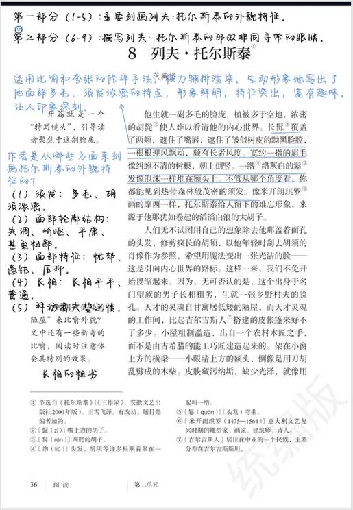鲨鱼短文阅读题答案四年级图标