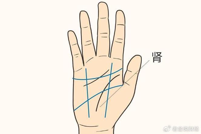 从能看到寿命图标