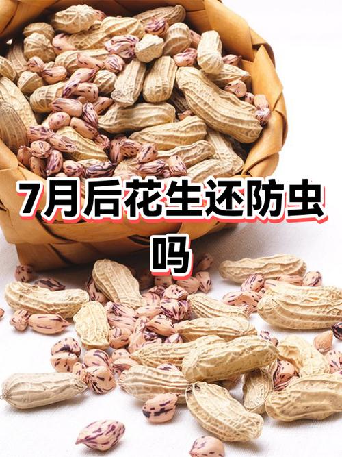 花生软件还款安全吗图标