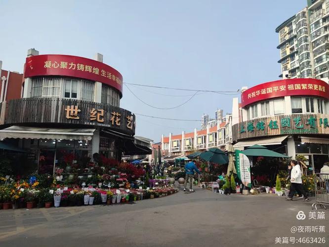 附近的花鸟市场图标