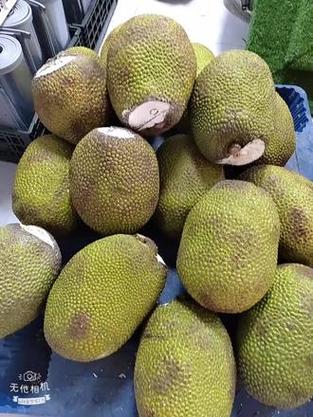 菠萝蜜的价格一般是多少钱截图