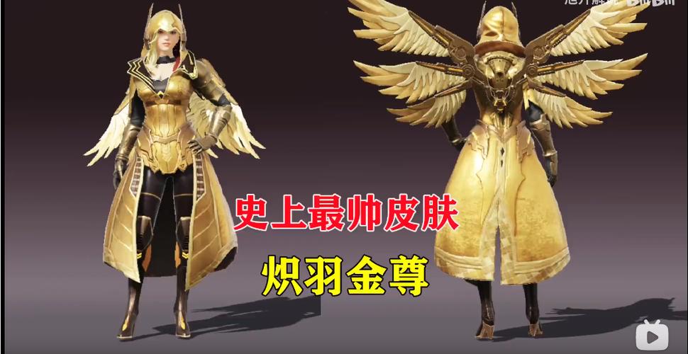 美化包和平精英炽羽金尊图标