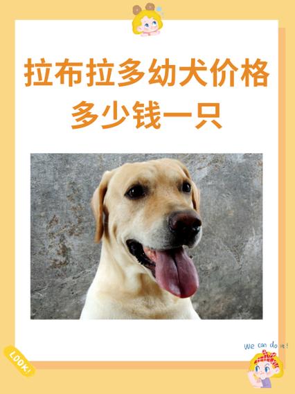 五红犬多少钱一只幼犬图标
