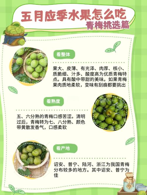 青梅长什么样子图片图标