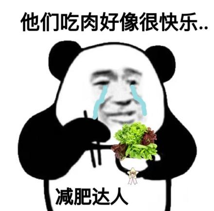 减肥吃肉图标