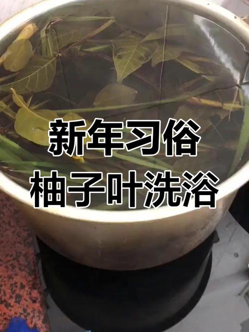 柚子叶洗几次澡运气会好点图标