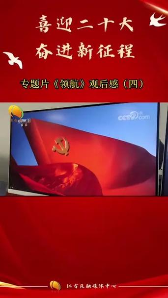 领航观后感截图