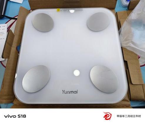 智能体脂秤图标
