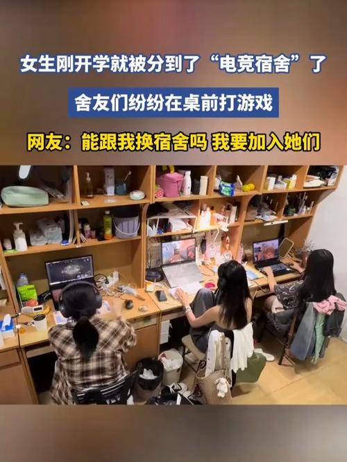 宿舍游戏图标