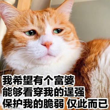 希望有个富婆可以看穿我的截图