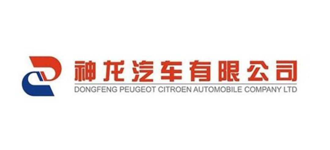 神龙集团截图
