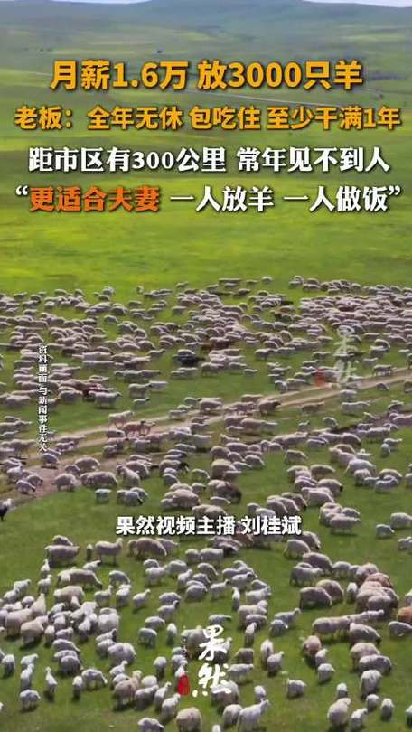 招放羊工联系电话号码图标