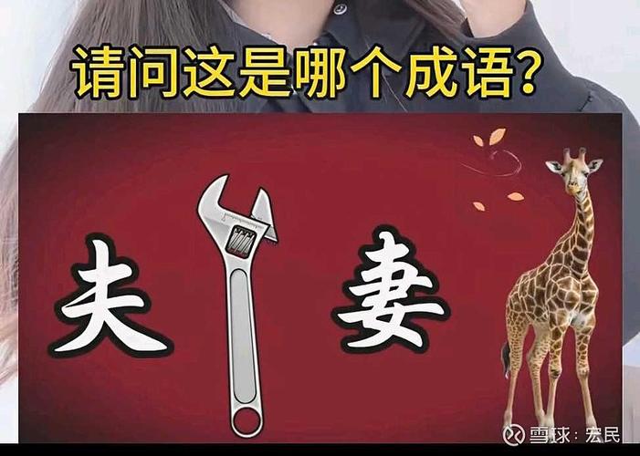 成语夫妻什么图标