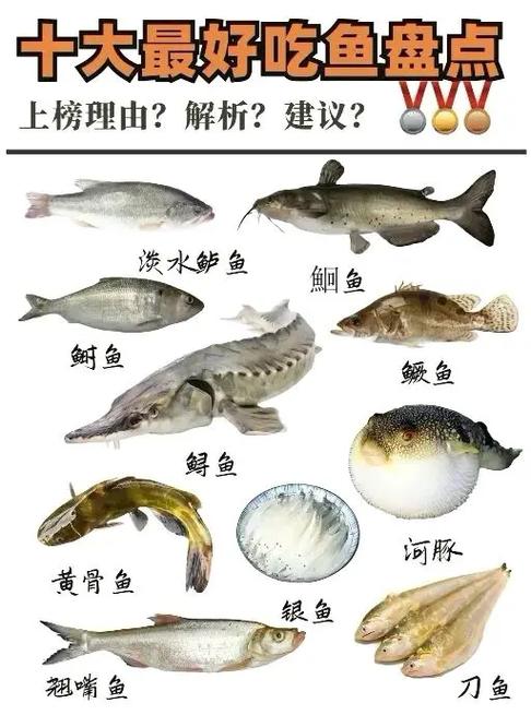 30种最常吃的鱼