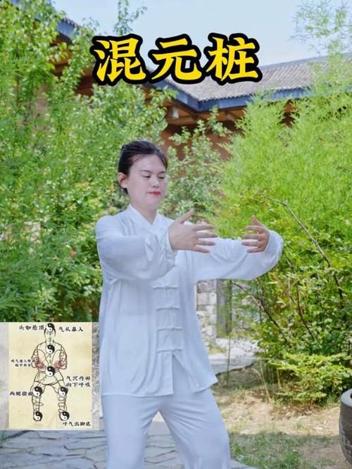 十大公认最好的桩功图标