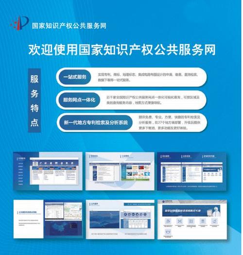 知识产权官网查询入口图标