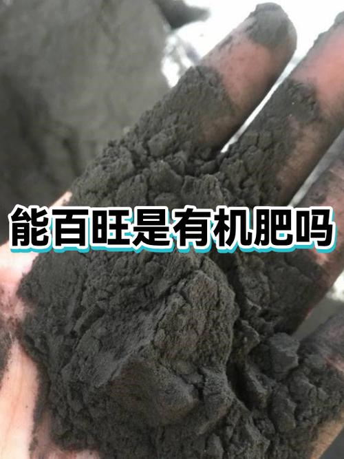 能百旺肥料的价格