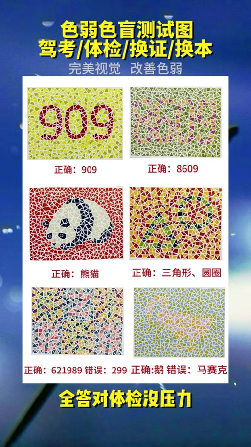 色弱体检背图截图
