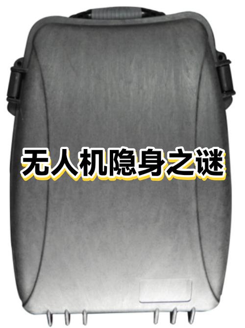 为什么王者荣耀隐身了还能被看见图标