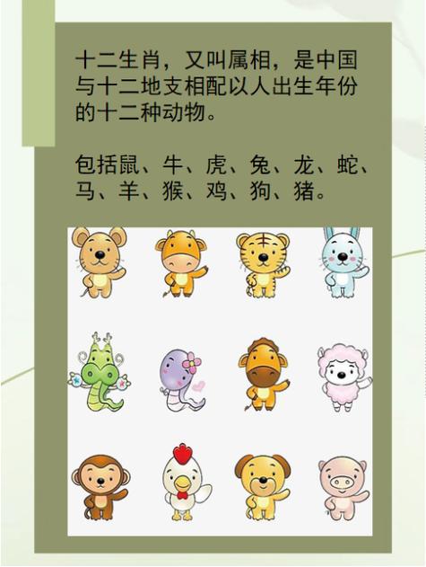 山肖最准确的生肖图标