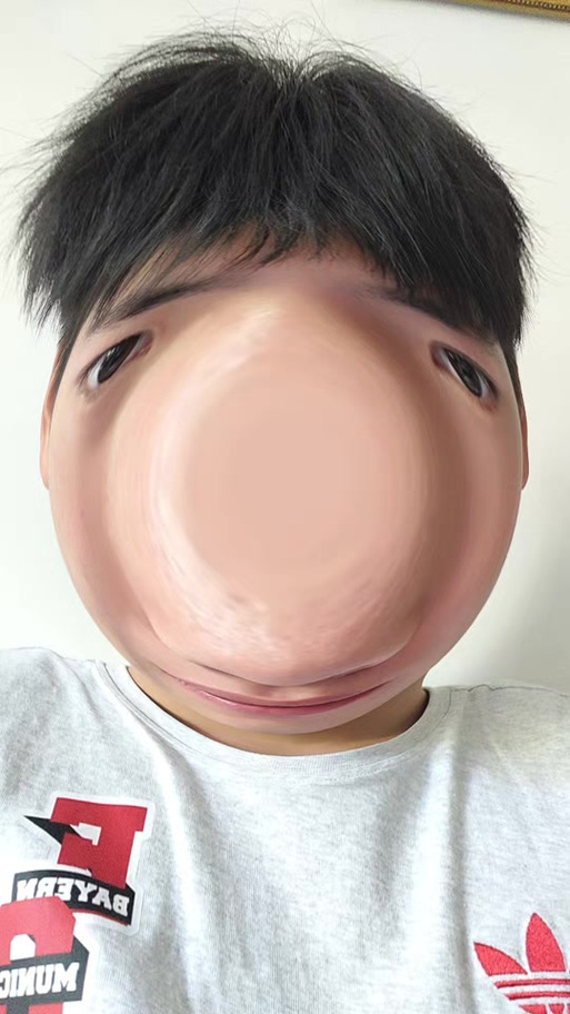 照片大头特效是什么软件图标
