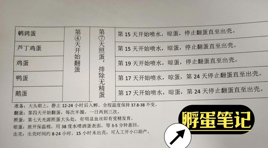 落幕曲火龙蛋孵化教程图标