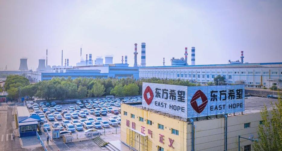 东方希望集团视频图标