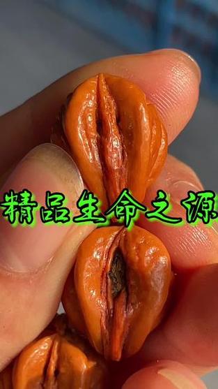 生命之源软件截图