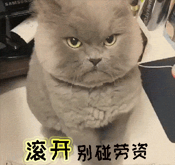滚开翻译图标